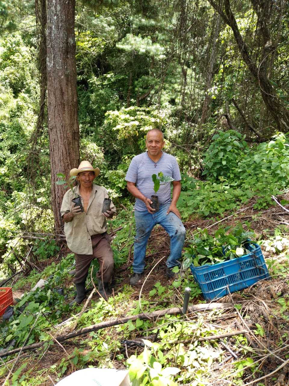 #237 Kahiwa Coffee Roasters: Kenya Sakami — Coffee delivered home | www ...